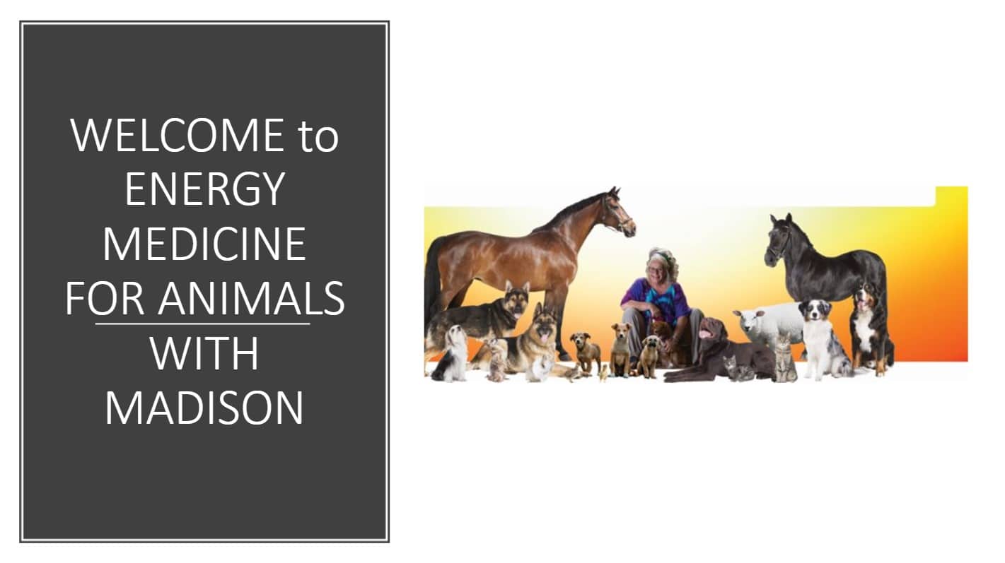 em for animals powerpoint – Eden Method